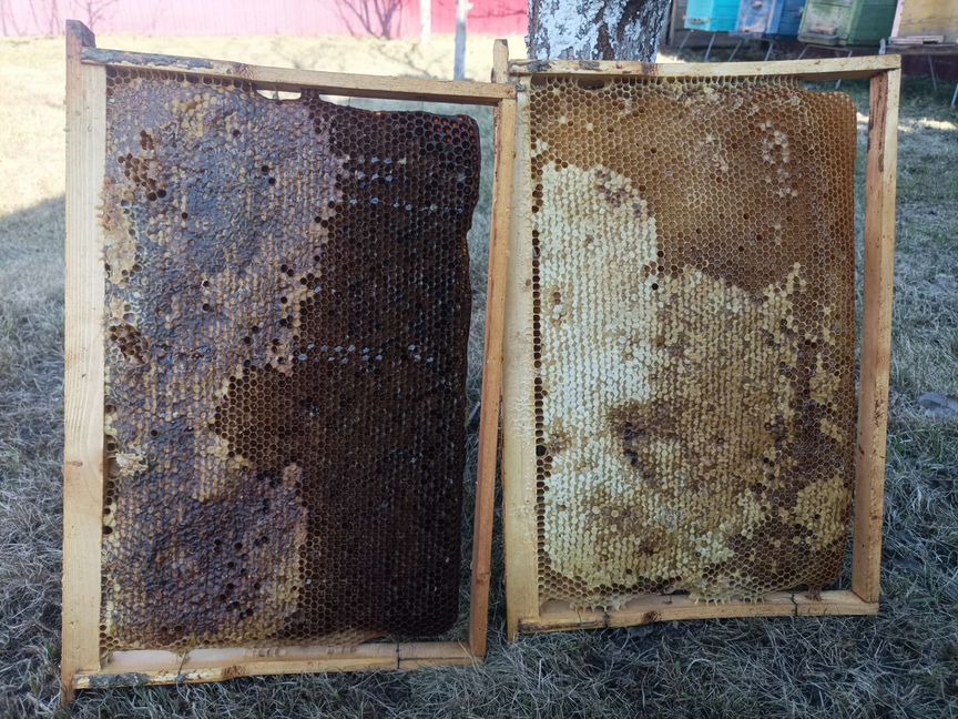 Медовые рамки