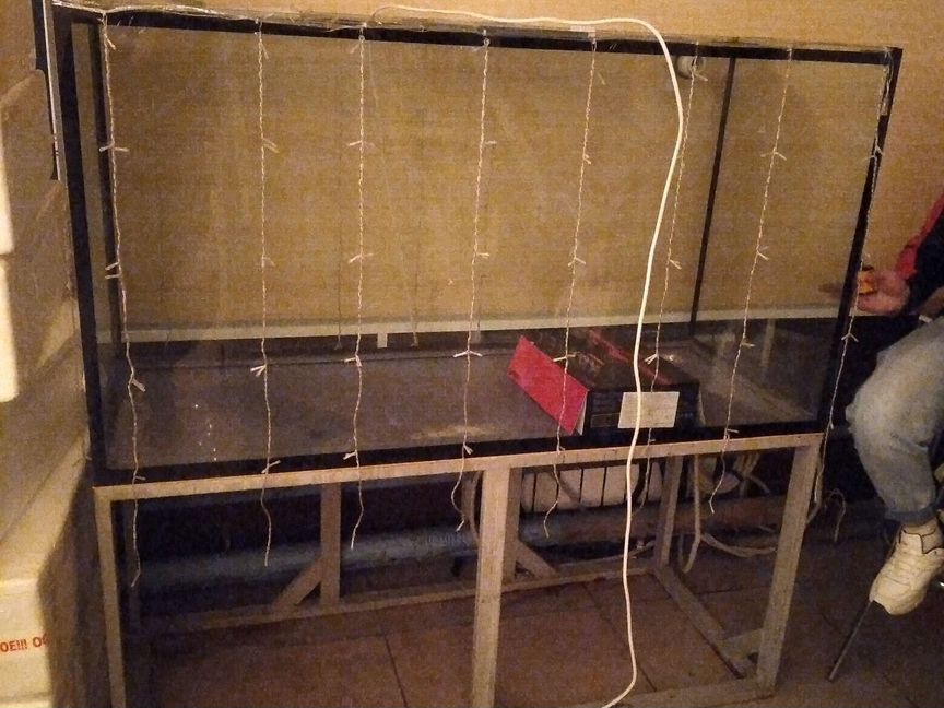 Аквариумные рыбки