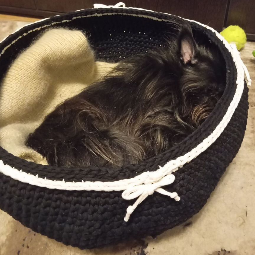 Корзинка для кошек, собак мелких пород