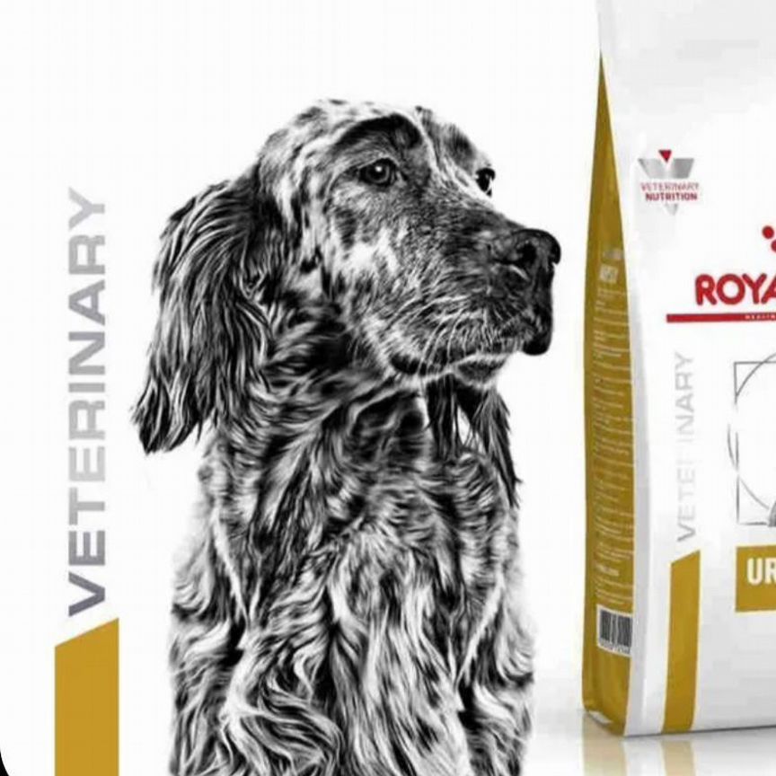 Royal canin для собак Urinary