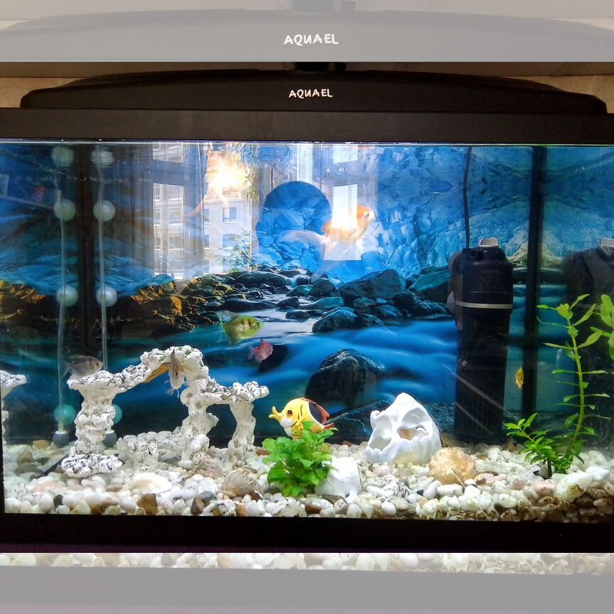 Аквариум 80л с рыбками и оборудованием