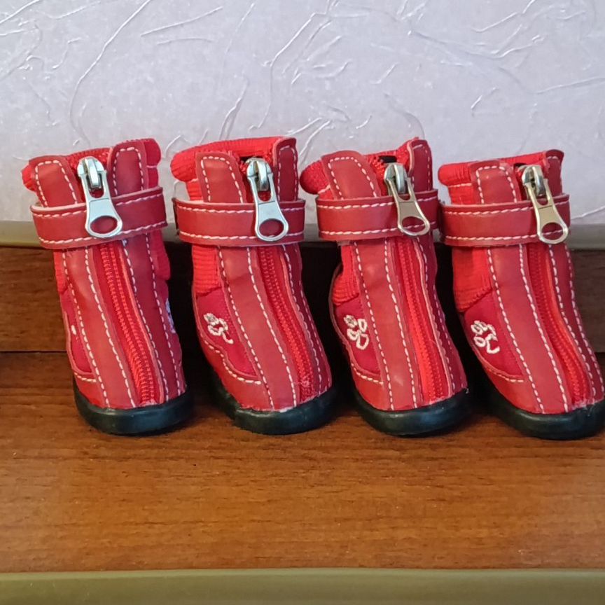 Ботиночки для собак мелких пород