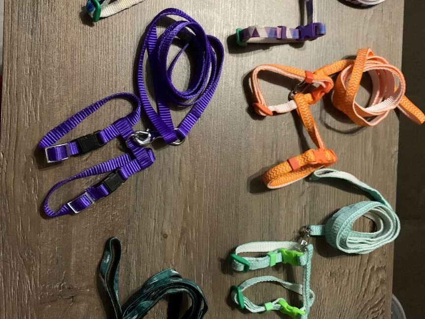 Шлейки для кошек\хорьков\грызунов