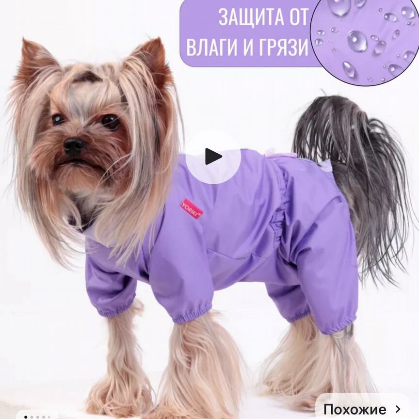 Дождевик для собак мелких пород девочек Yoriki