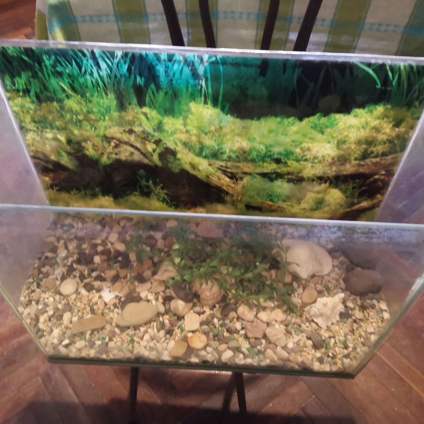 Аквариум 90 литров панорамный