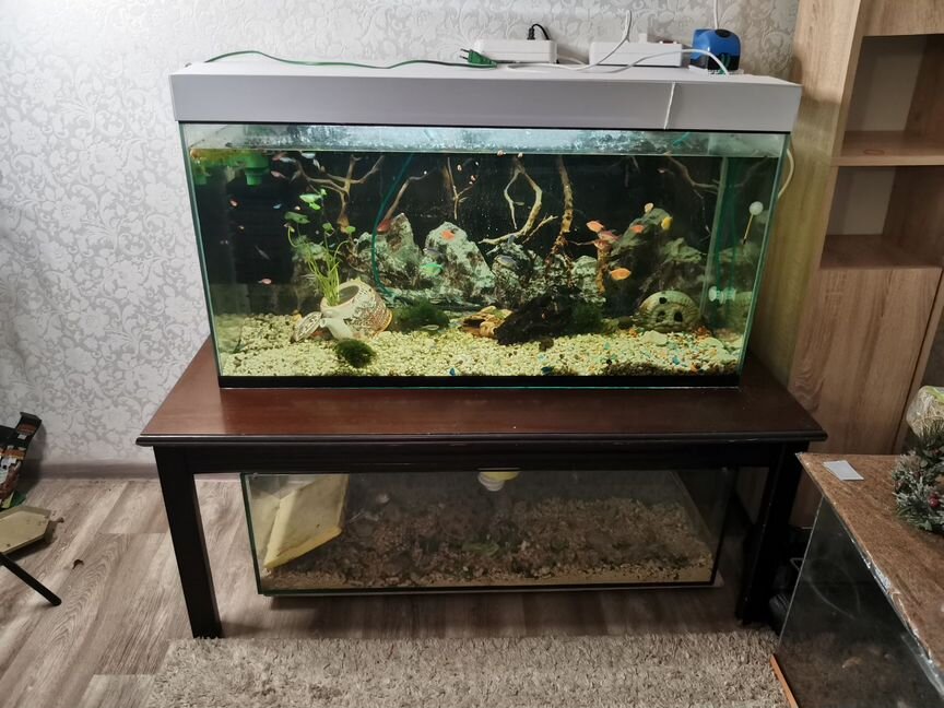 Аквариум 200 литров и все для него