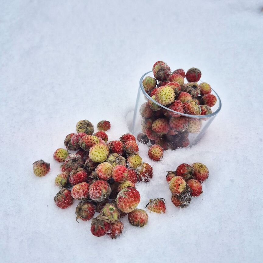 Замороженные ягоды