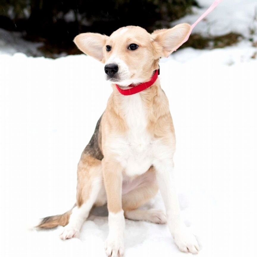 Юди в поисках дома