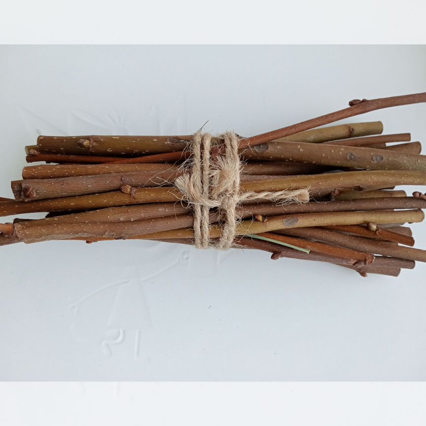 Отдам бесплатно палочки липы для шиншиллы