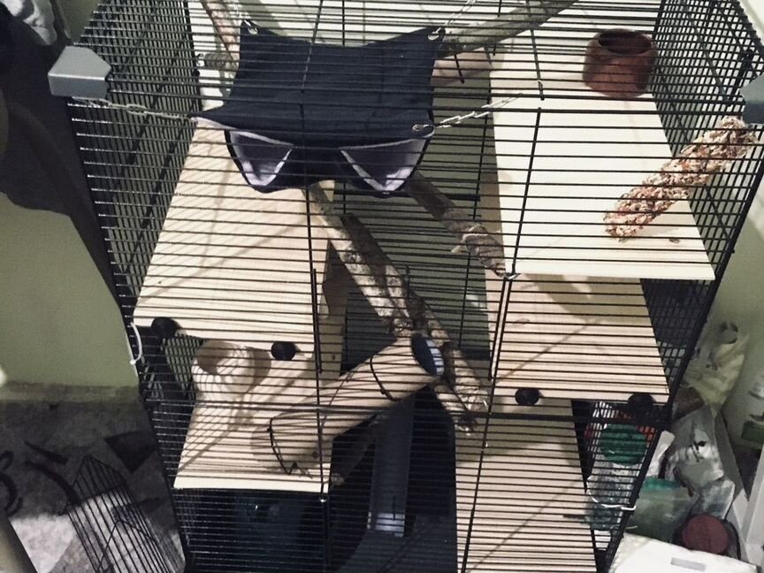 Полка для клетки