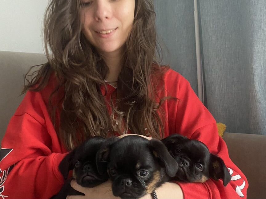 Птибрабансон