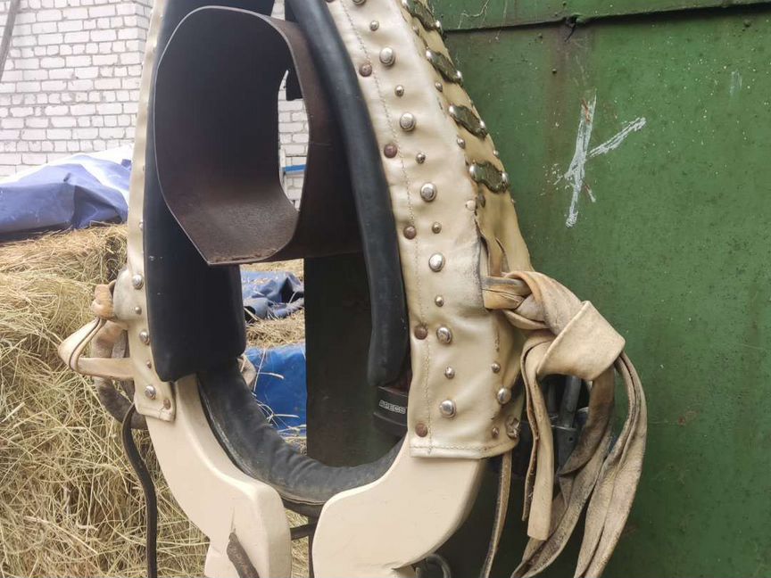 Упряжь для лошади