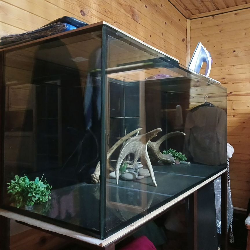 Аквариум