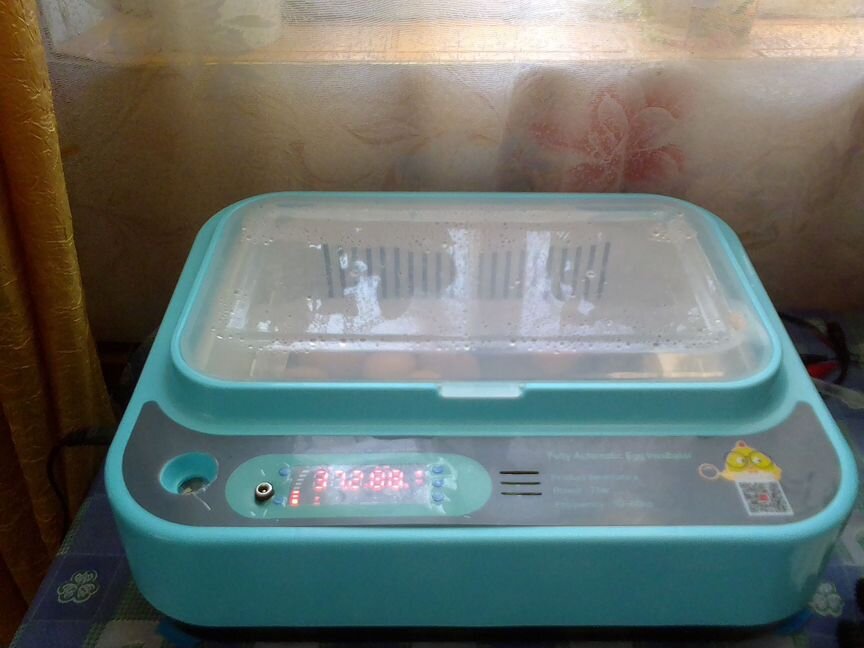 Инкубатор умница на 24яйца