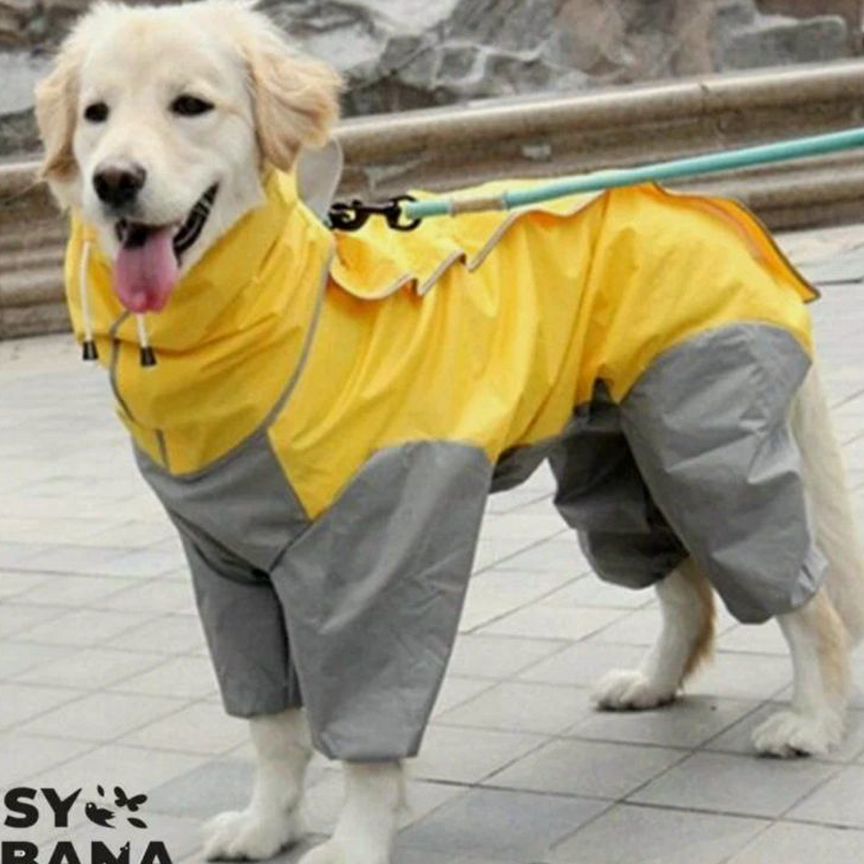 Костюм для собаки