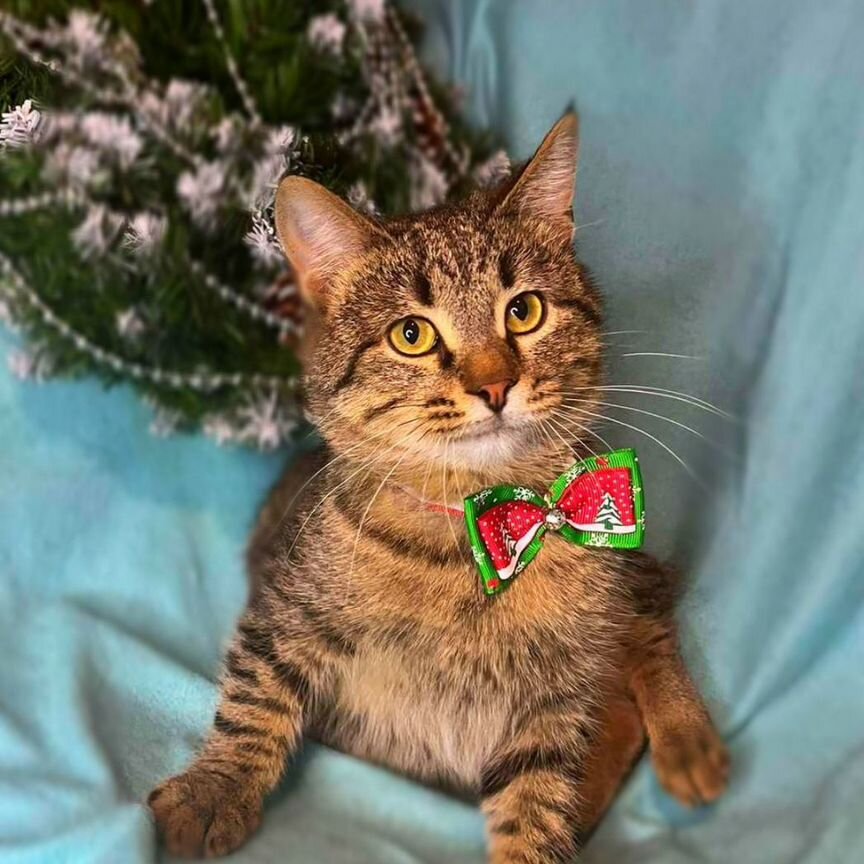 Классный мальчишка