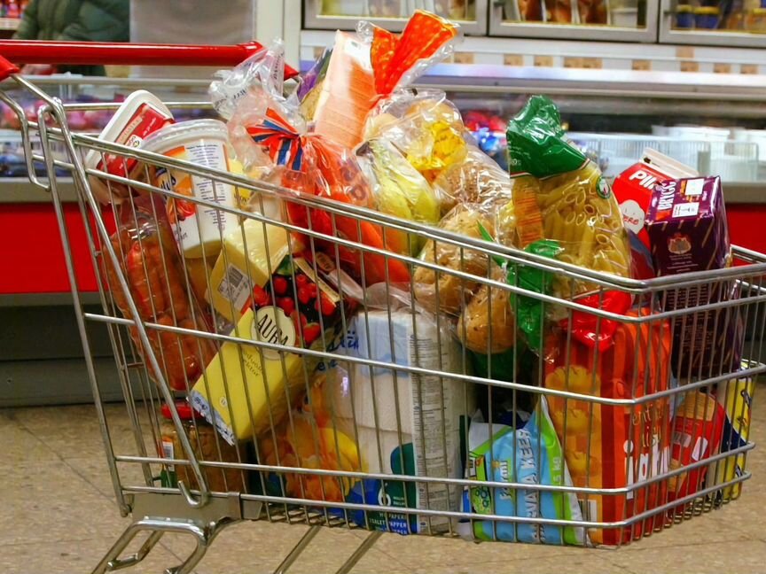 Корм для животных