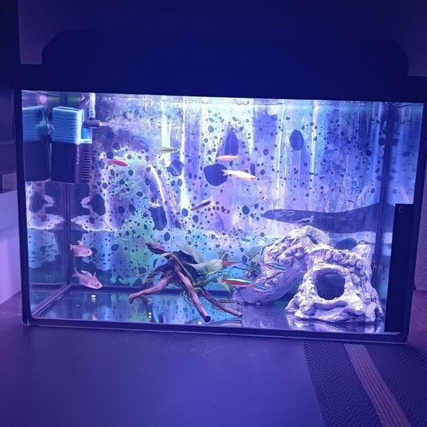 Аквариум с рыбками 20 литров