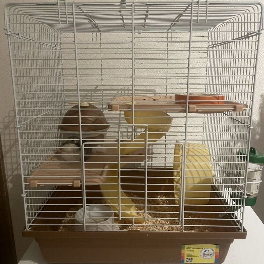 Клетка для хомяка бу