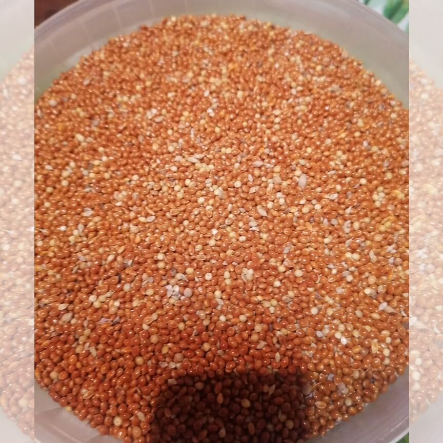 Просо, овес