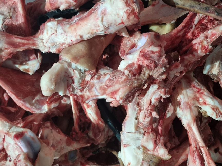 Кости свинина-говядина