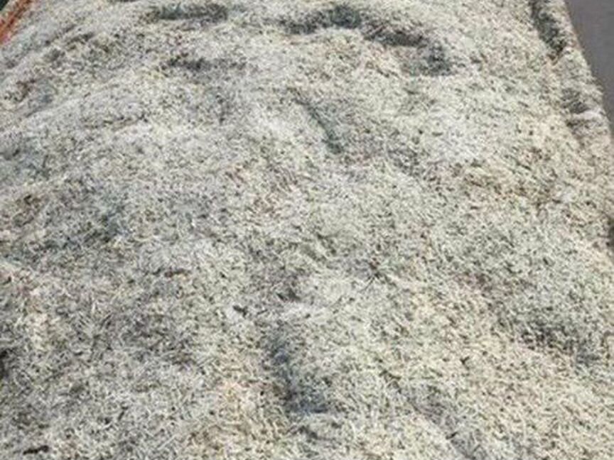 Жом свекольный