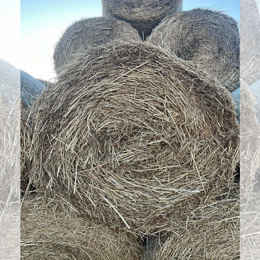 Сено луговое, солома гороховая и пшеничная рулоны