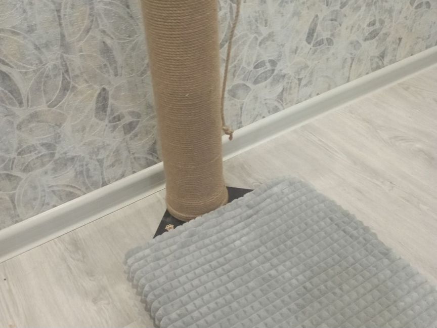 Когтеточка