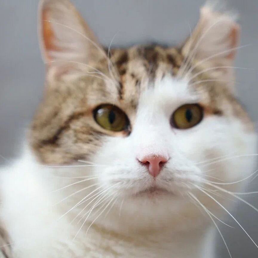 Вася никому не нужен