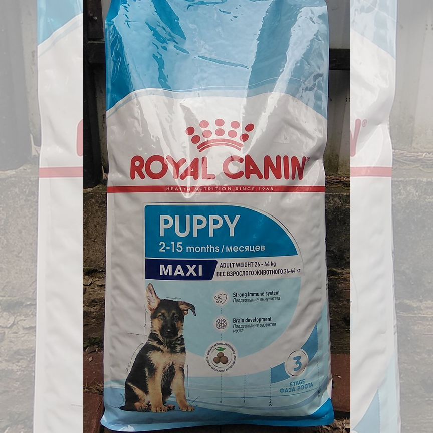 Сухой корм для щенков Роял Канин