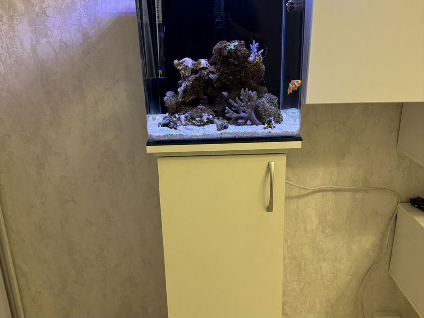 Морской мини аквариум