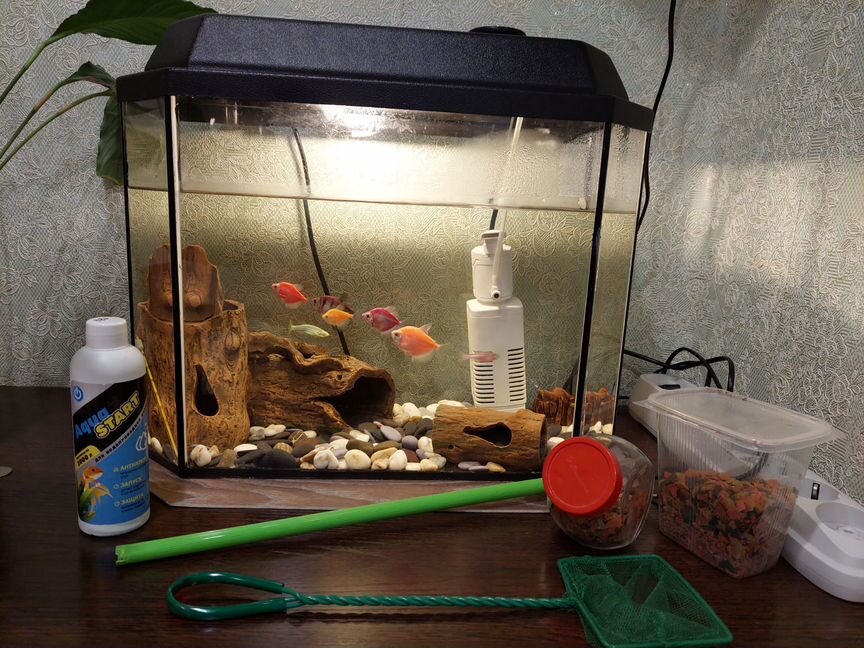 Аквариум с рыбками бу