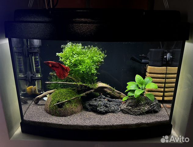 Аквариум 20 литров