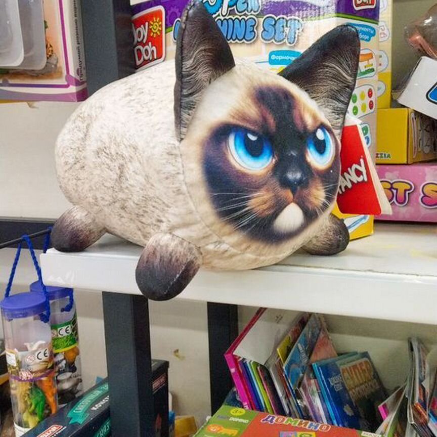 Кошечка в добрые руки бесплатно