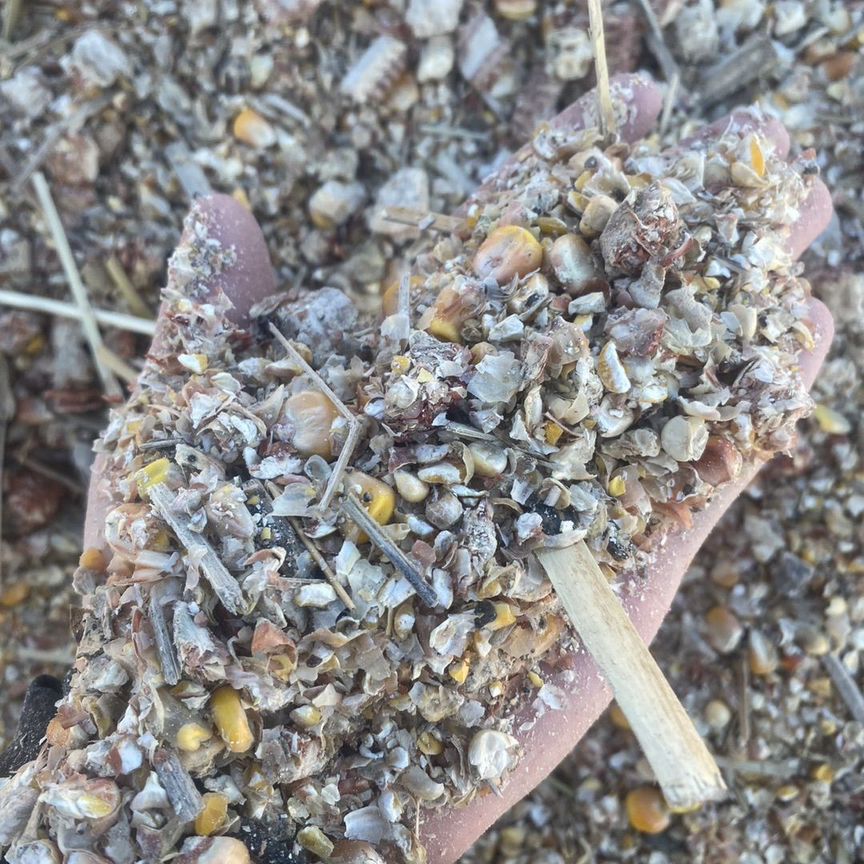 Кукурузный зерноотход