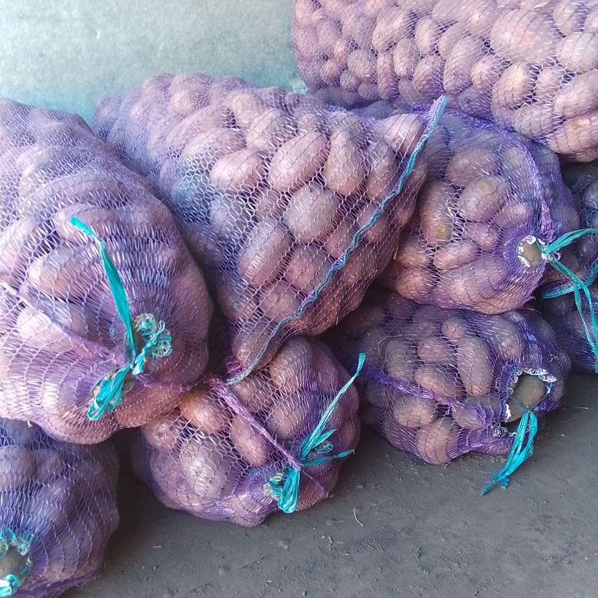 Картофель мороженный