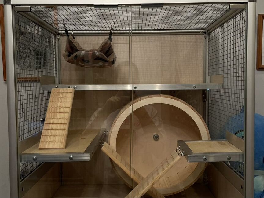 Витрина для шиншилл бу