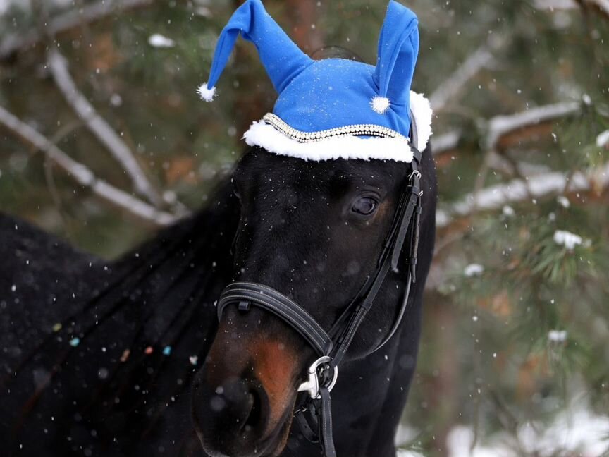 Ушки для лошади