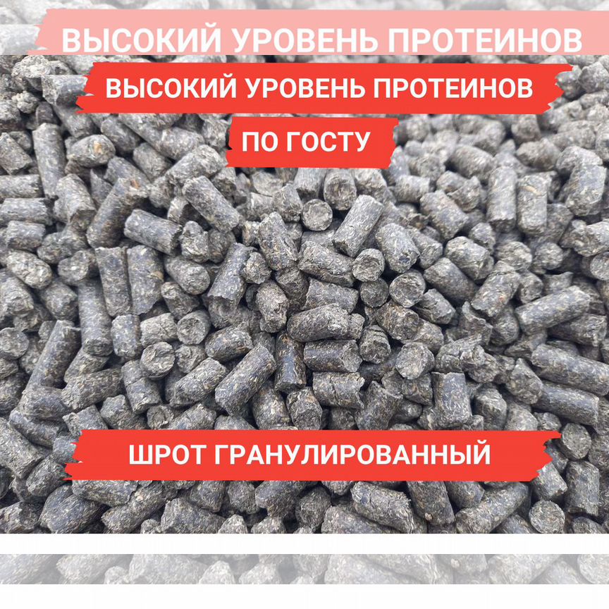 Шрот подсолнечный от производителя