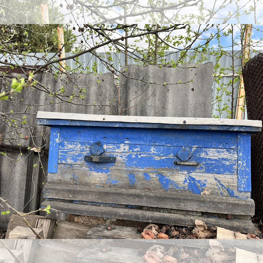 Улики для пчел бу