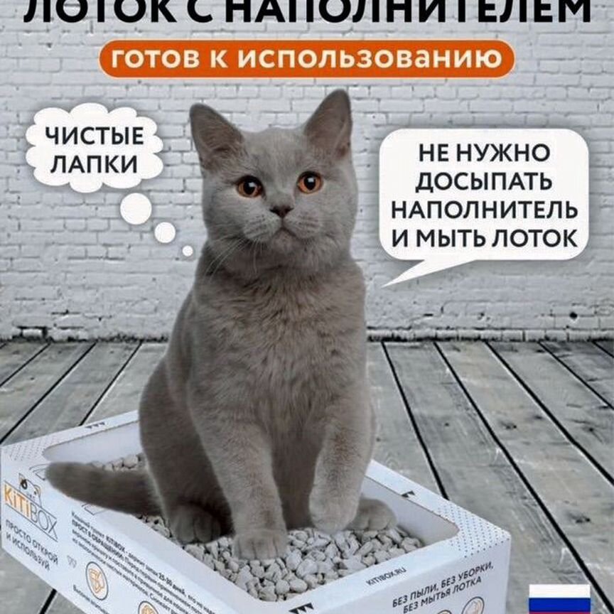 Лоток для кошек