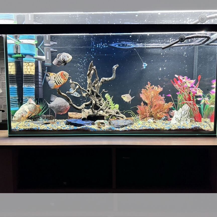 Аквариум 280 литров с рыбами