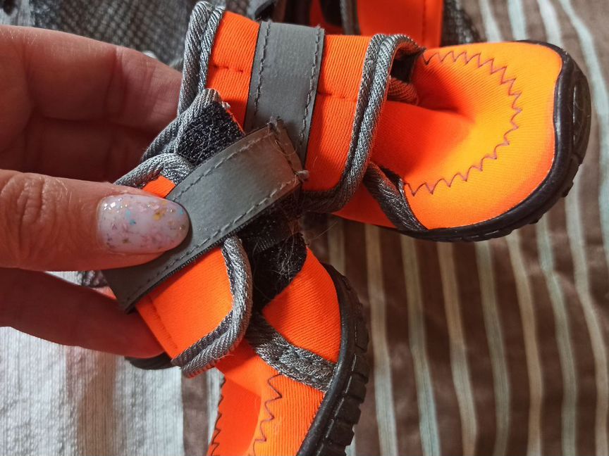 Ботинки для маленьких собак