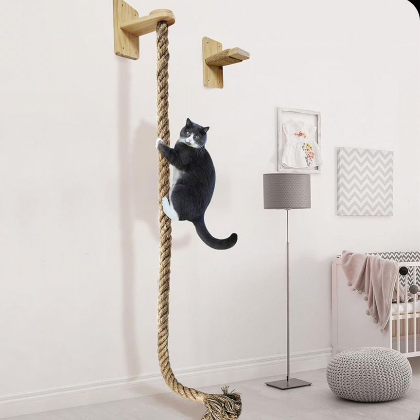 Когтеточка для кошки новая