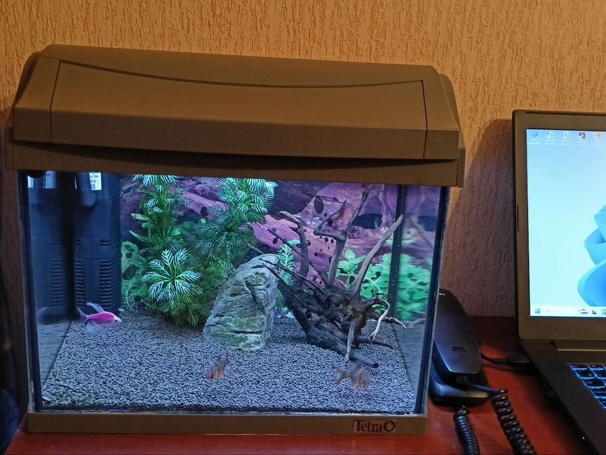 Аквариум Agual