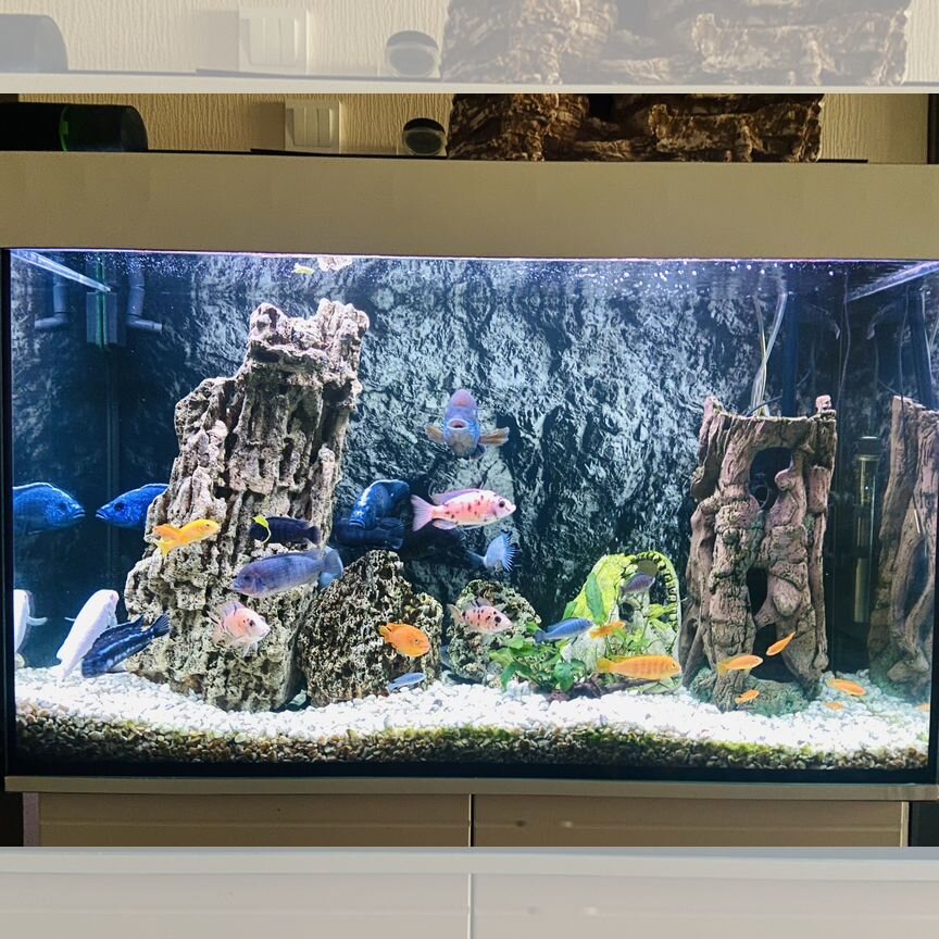 Аквариум 200 литров с тумбой