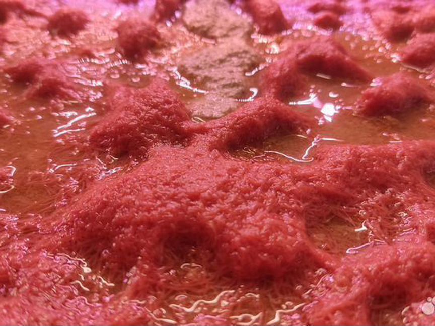 Трубочник изя