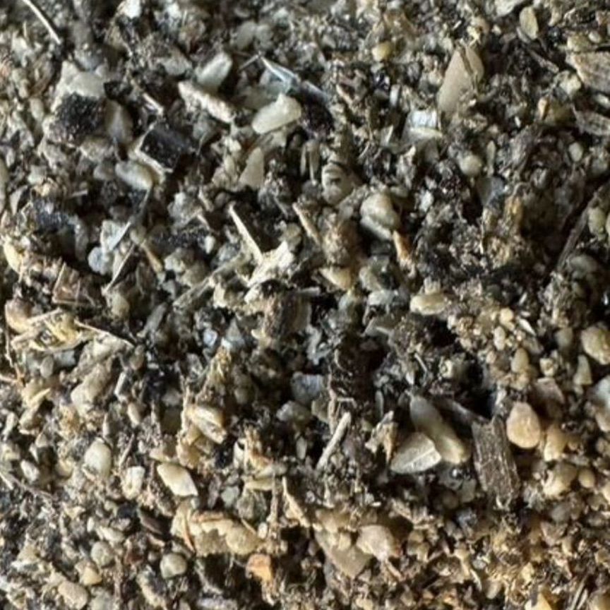 Оходы семечки