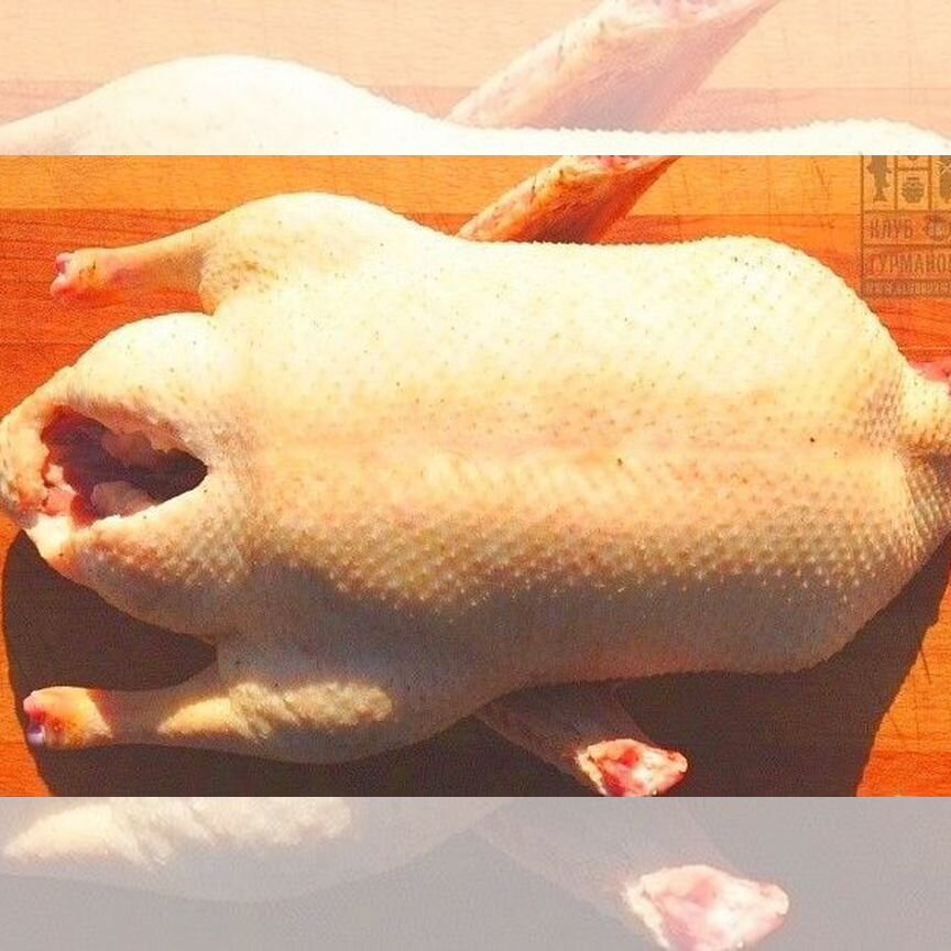 Продам домашних гусей