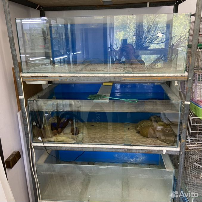 Стойка с аквариумами (разводня)